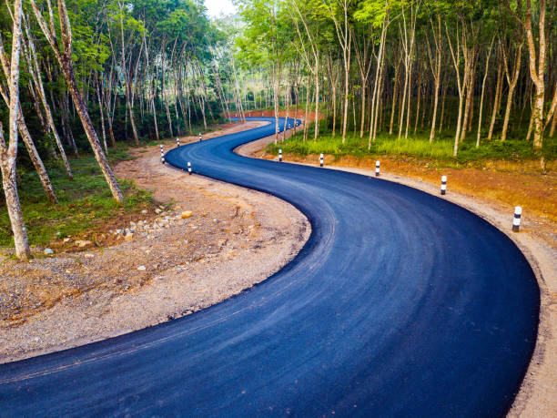 Free picture: animals, asphalt, road, wildlife, nature, park, animal ...