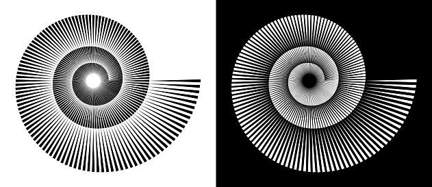 Spirale Avec Des Lignes Comme Icône Ou Logo Illustration Noire Isolée