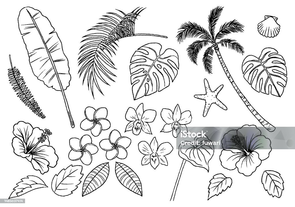 Tropische Pflanzen Handgezeichnete Strichzeichnung Iconset Stock Vektor ... Tropische Pflanzen Handgezeichnete Strichzeichnung Iconset Stock Vektor ...