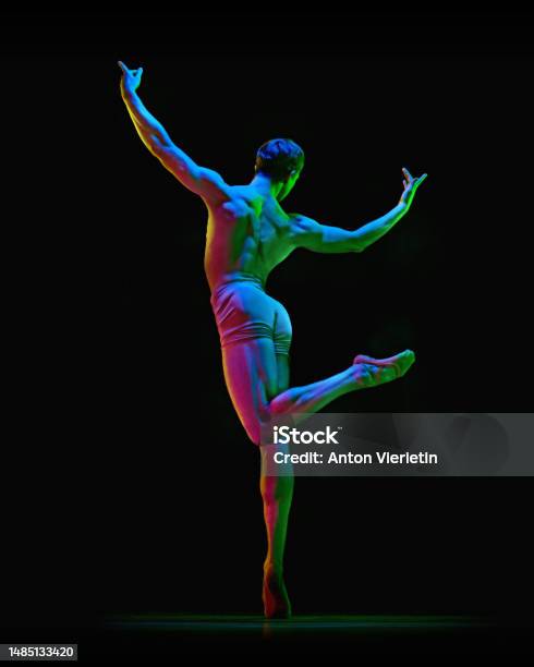 Portrait Of Graceful Muscled Male Ballet Dancer Posing On One Leg With
