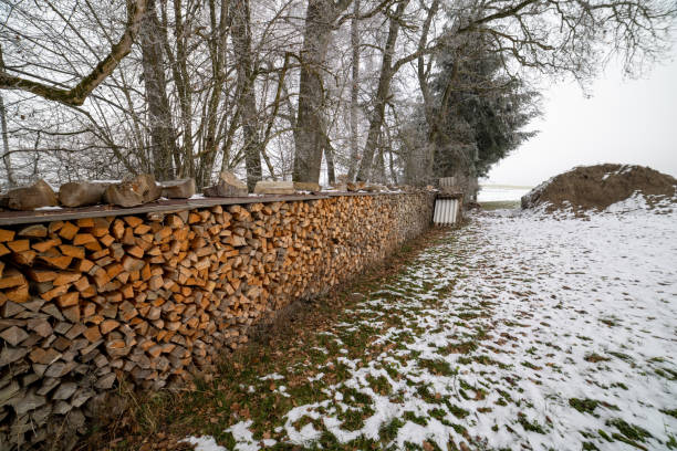 Free Stock Photo of A row of wood logs with snow on them | Download ...
