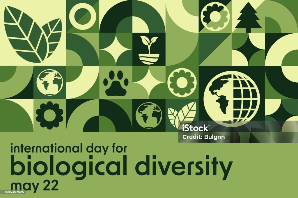 Ilustración De Día Internacional De La Diversidad Biológica 22 De Mayo Concepto De Vacaciones