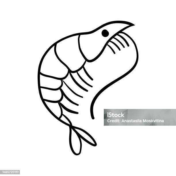 Icône De Crevettes Dans Un Style Plat Fruits De Mer Frais Isolé Sur