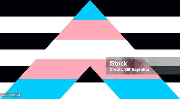 Lgbtq Rights Pride Flag Of Straight Ally Flag Combined With Transgender