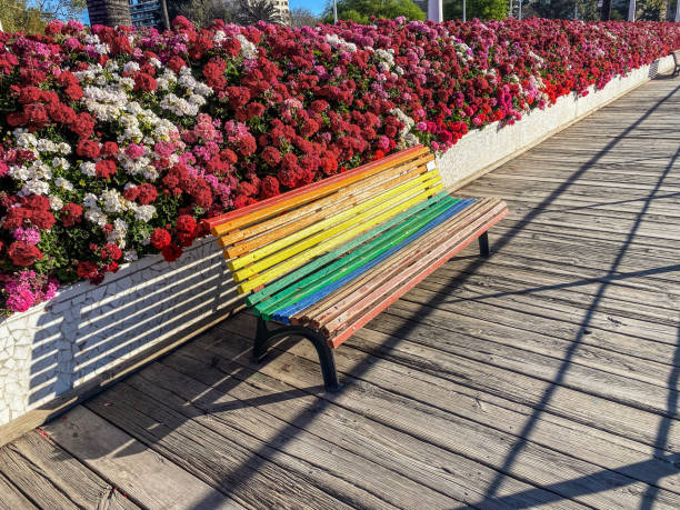 Free Stock Photo of Close Up of a Bench With Four Different Colors ...