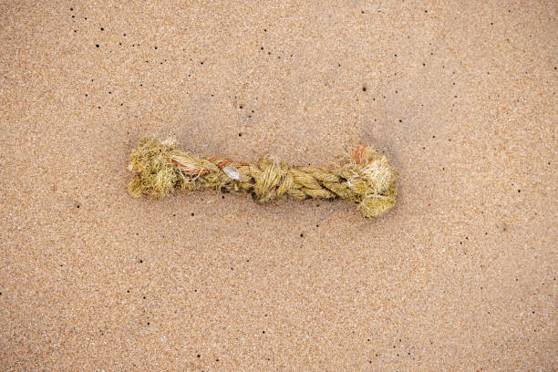Free picture: rope, ground, daylight, outdoor, beach, sand