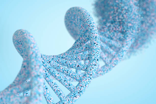 Free Stock Photo of DNA - Genetic Sequencing Concept - Genome ...