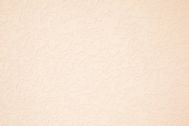 Taupe Pictures | Download Free Images on Unsplash