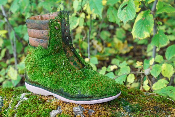 Free Stock Photo of Green shoe stepping on a mossy path | Download Free ...