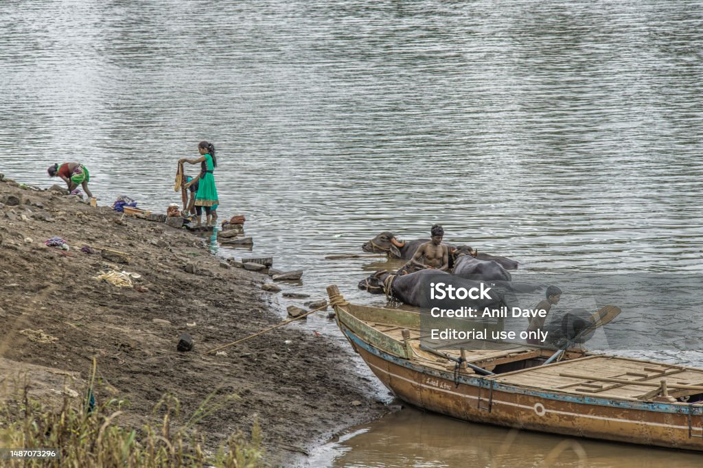 Penjaga Kerbau Memandikan Kerbau Mereka Di Sungai Kresna Foto Stok ... Penjaga Kerbau Memandikan Kerbau Mereka Di Sungai Kresna Foto Stok ...