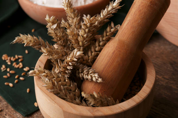 Free picture: wheat, grain, seed, product, agriculture, pattern ...
