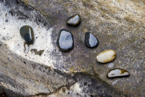 Free picture: pebbles, riverbed, stones, riverbank, texture, stone ...