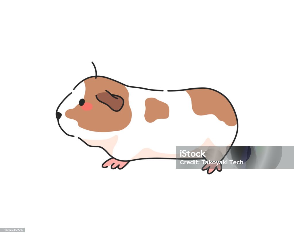 Meerschweinchen Haustier Vektortiernagetiersymbol Stock Vektor Art und ... Meerschweinchen Haustier Vektortiernagetiersymbol Stock Vektor Art und ...