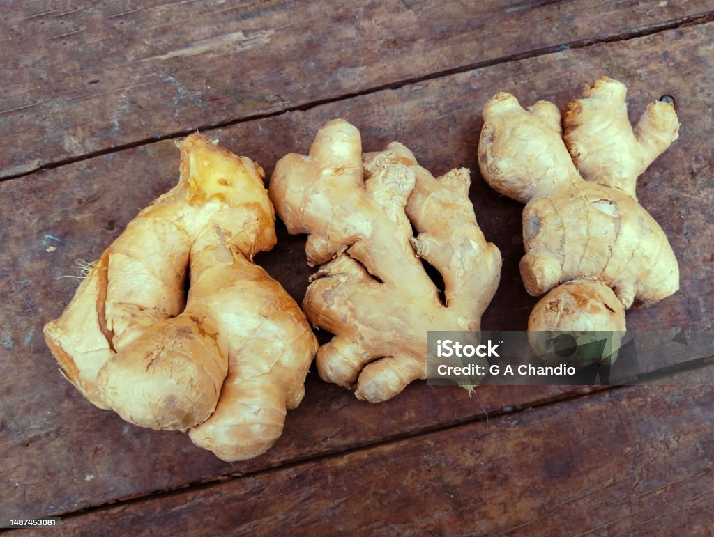 Ginger Root Spice A Pungent Aromatic Rhizome Of A Tropical Asian Herb ... Ginger Root Spice A Pungent Aromatic Rhizome Of A Tropical Asian Herb ...