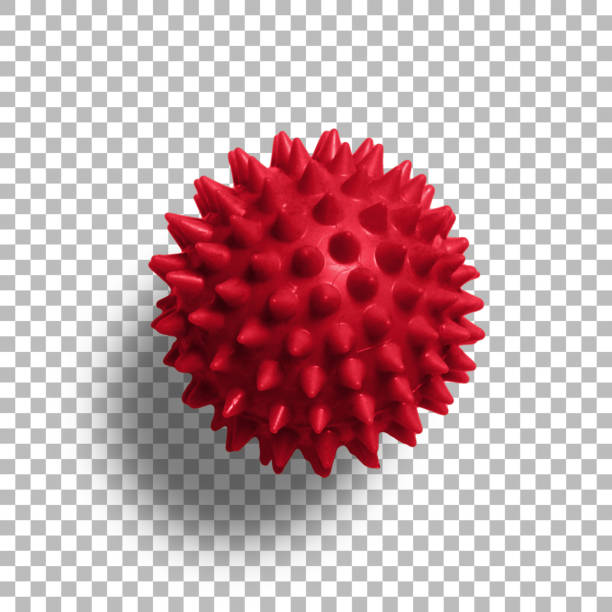 Spikeball Pictures | Download Free Images on Unsplash