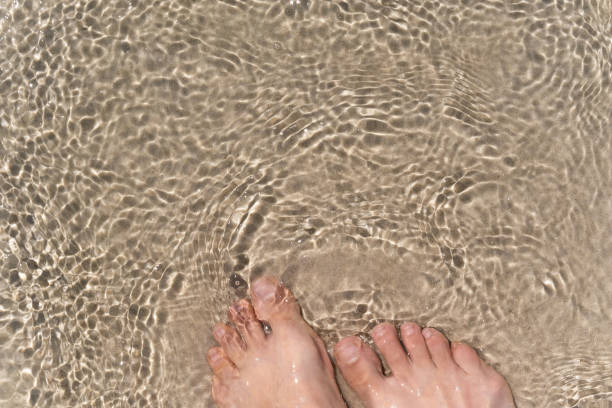 Free Stock Photo of A pair of feet in water | Download Free Images and ...