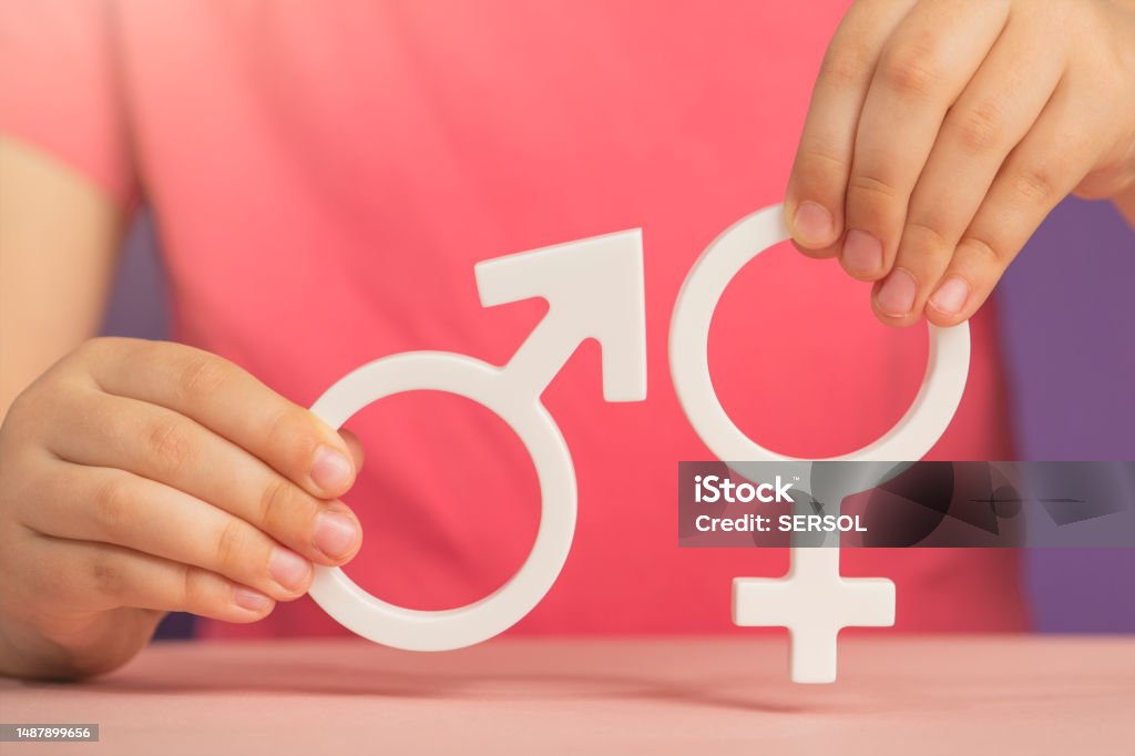 The Concept Of Gender Equality Symbol Of Female And Male Gender In Hand