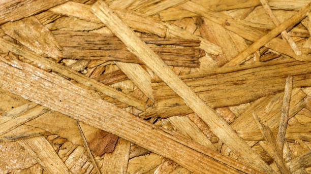 Free picture: Light brown rough conifer tree bark texture close-up