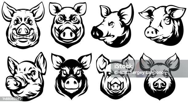 Mascotte De Tête De Cochon Logo Porcin Ensemble Dillustrations De Porc