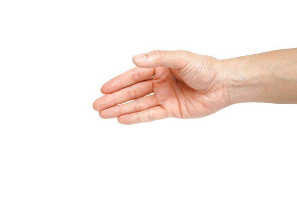 Free Stock Photo of Business people shake hands to show cooperation ...