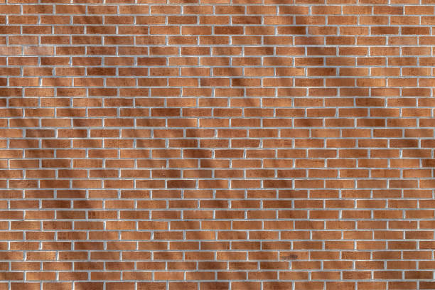 Free picture: Light brown brick wall in shadow texture