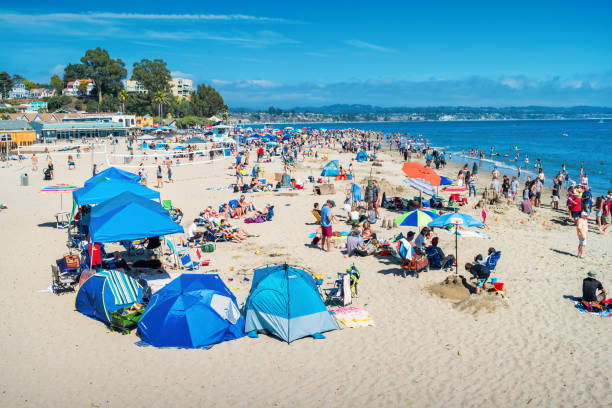 Free Stock Photo of Large Group of People Enjoying the Beach | Download ...