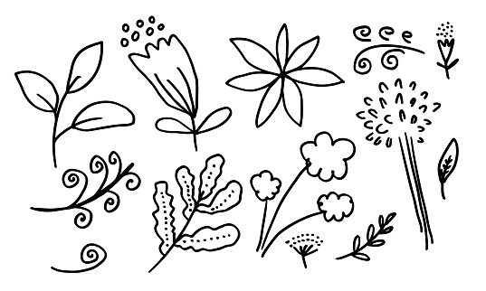 Une Collection Dimages De Fleurs Dessinées À La Main Telles Que Des