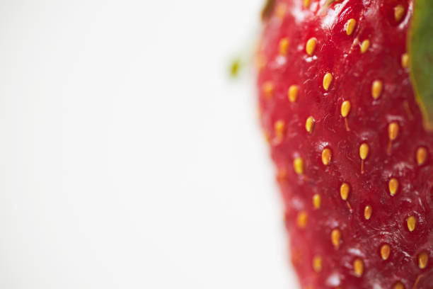 Free picture: red, ripe, strawberry, revealing, rough, dimpled, skin, fruit
