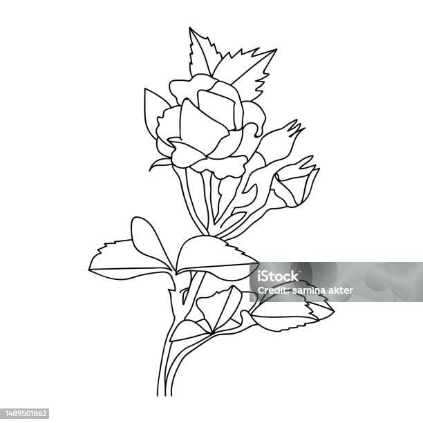 Simple Rose Outline Realistic Rose Outline Line Drawing Realistic Rose Outline Rose Drawing