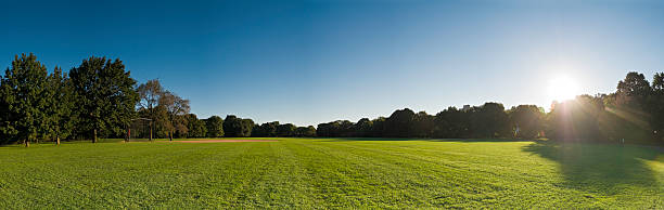 Park Grass Pictures | Download Free Images on Unsplash