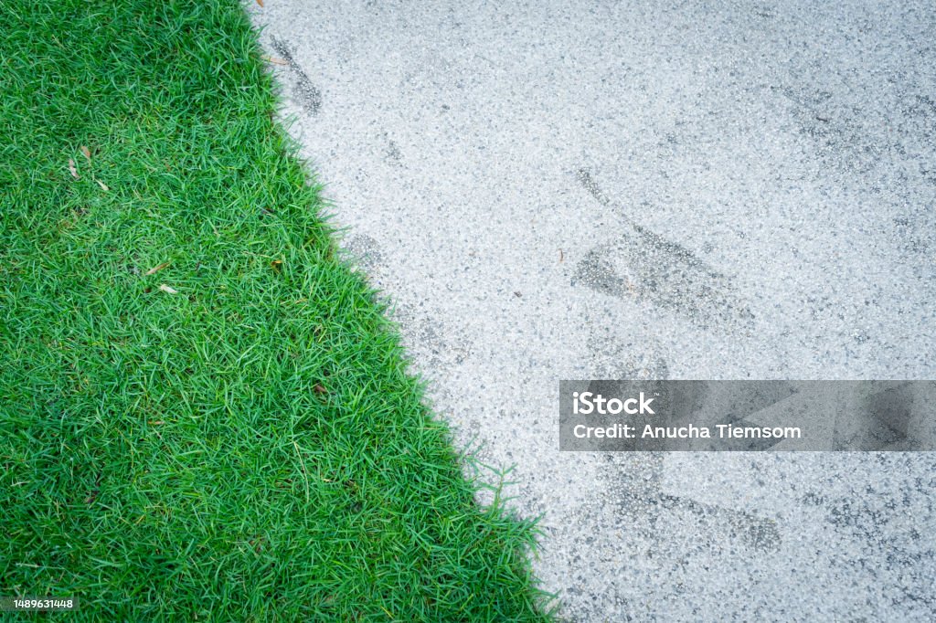 Tampilan Atas Tekstur Rumput Hijau Dengan Latar Belakang Lantai Beton