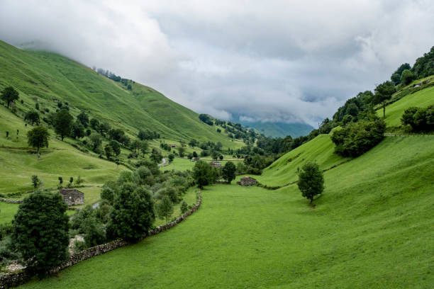 Free picture: green, field, valley, scenic, landscape