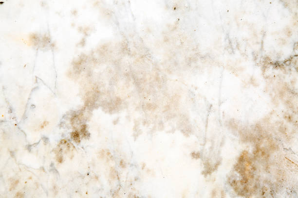 Free picture: Rough beige marble stone texture close-up of dirty rock