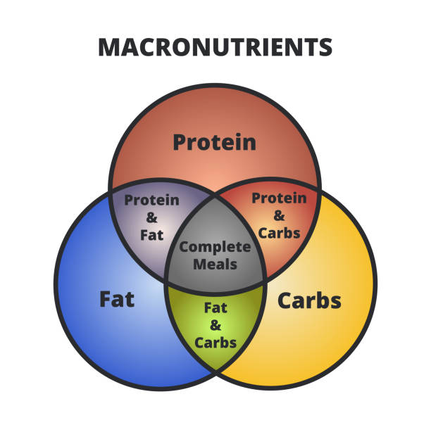1,700+ Macronutrients Stock Photos, Pictures & Royalty-Free Images - iStock 1,700+ Macronutrients Stock Photos, Pictures & Royalty-Free Images - iStock