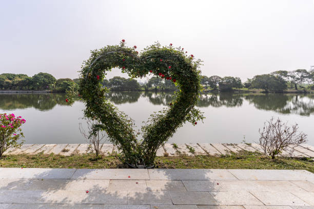 Free Stock Photo of Heart Shaped Tree in Field | Download Free Images ...