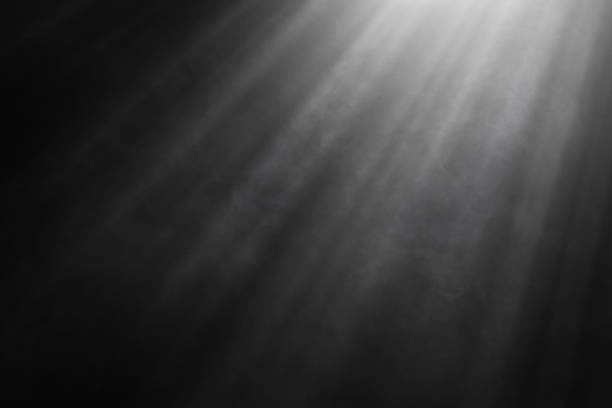 4,000+ Free Sunbeams & Forest Images - Pixabay