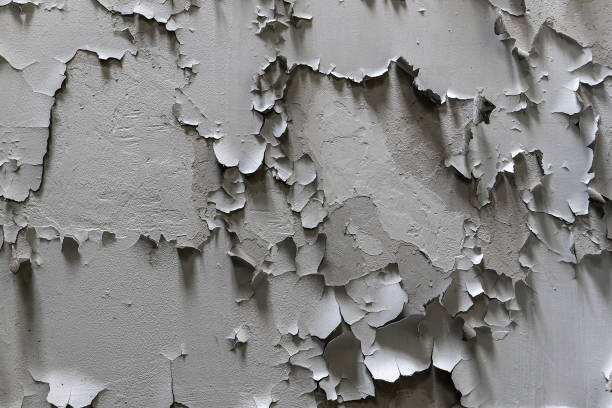 Free Stock Photo of Grey and white paint peeling off texture | Download ...
