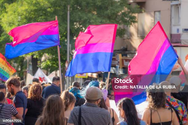 Bendera Kebanggaan Biseksual Foto Stok Unduh Gambar Sekarang 2023