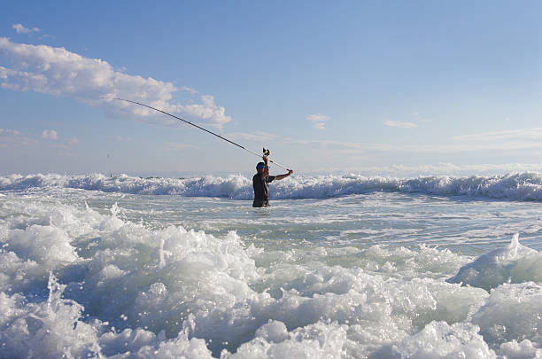 Sea Fishing Pictures | Download Free Images on Unsplash