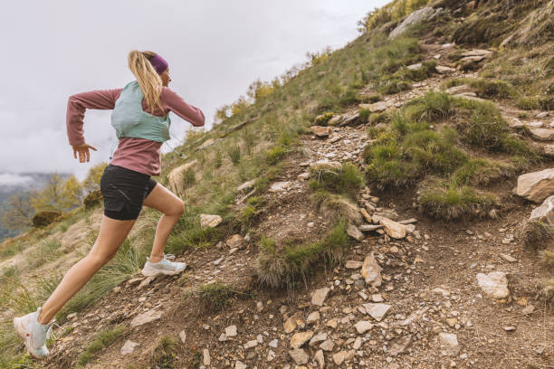 Free Stock Photo of Road Running Through Mountain Range | Download Free ...