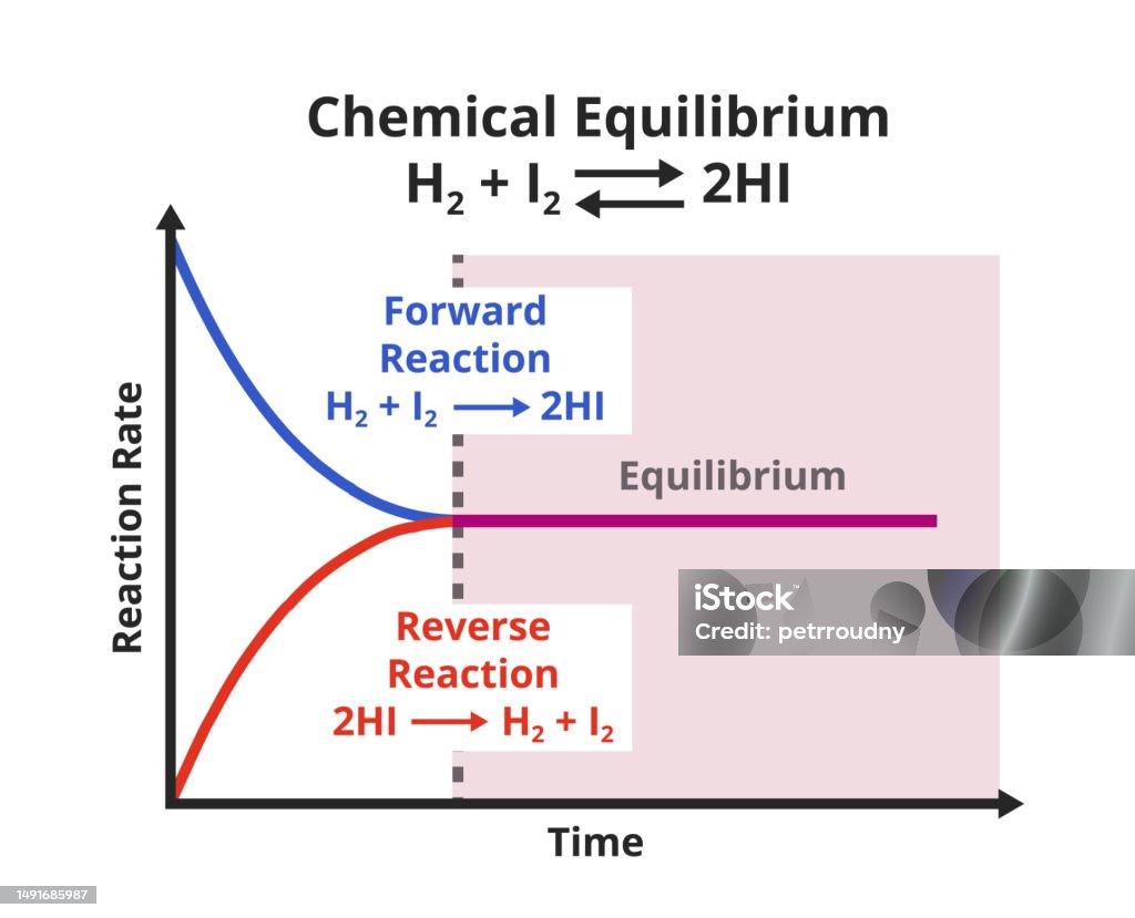 Vector Scientific Graph Or Chart Of Chemical Equilibrium Forward ... Vector Scientific Graph Or Chart Of Chemical Equilibrium Forward ...