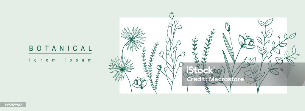 Latar Belakang Abstrak Botani Dengan Desain Seni Garis Bunga Spanduk
