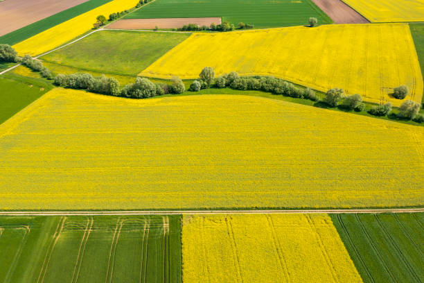 Free sunlit patch stock photos. Download the best free sunlit patch ...