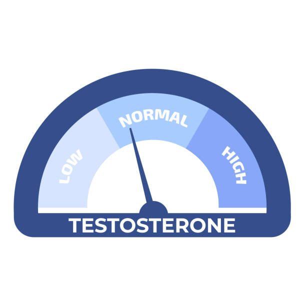 60 Testosterone Replacement Stock Illustrations Royalty Free Vector