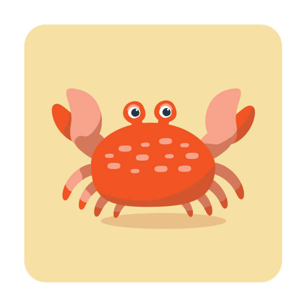 700+ Red Crab Beach Stock Illustrations, Royalty-Free Vector Graphics ... 700+ Red Crab Beach Stock Illustrations, Royalty-Free Vector Graphics ...