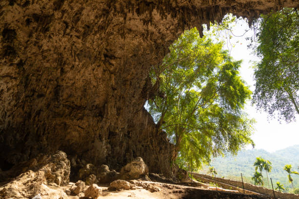 Free picture: Entrance to the Liang Bua cave or the hobbit cave, a ...