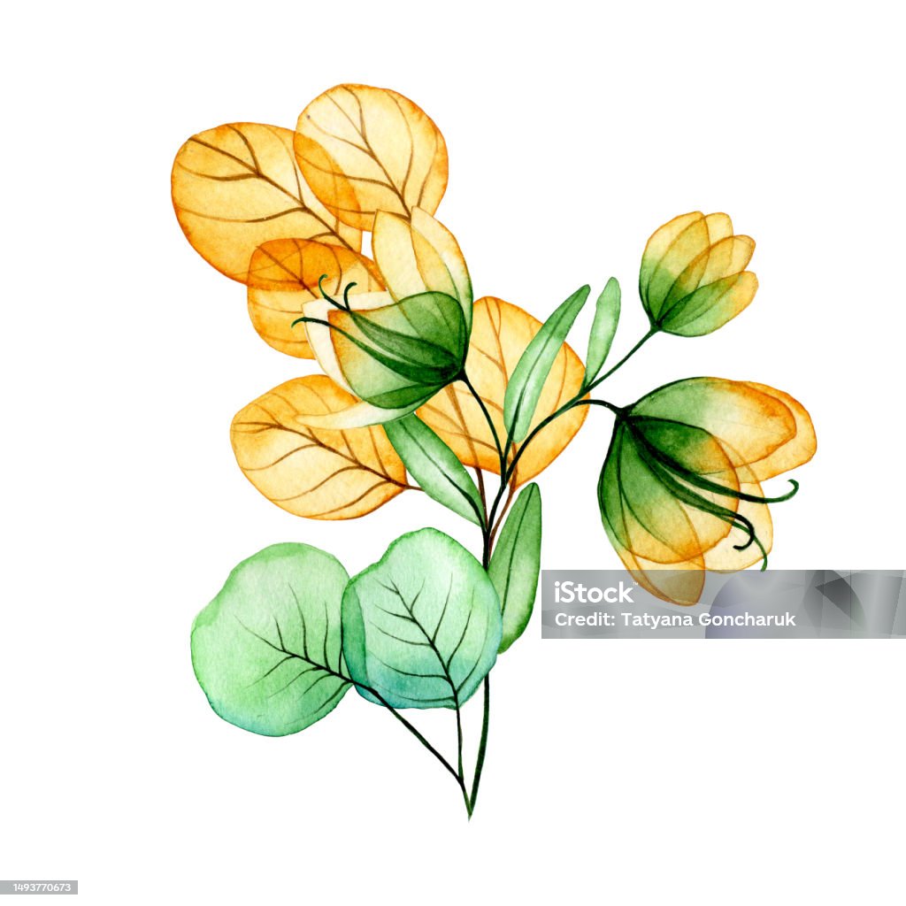Dessin À Laquarelle Bouquet Composition Automnale De Fleurs