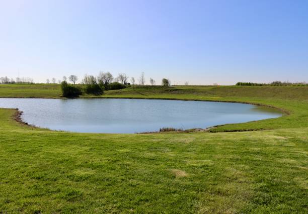 Free Stock Photo of Small Pond in Grassy Field | Download Free Images ...