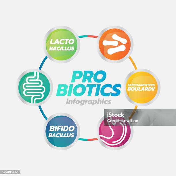 Probiotic Foods Good Bacteria Vector Illustration Stock Illustration