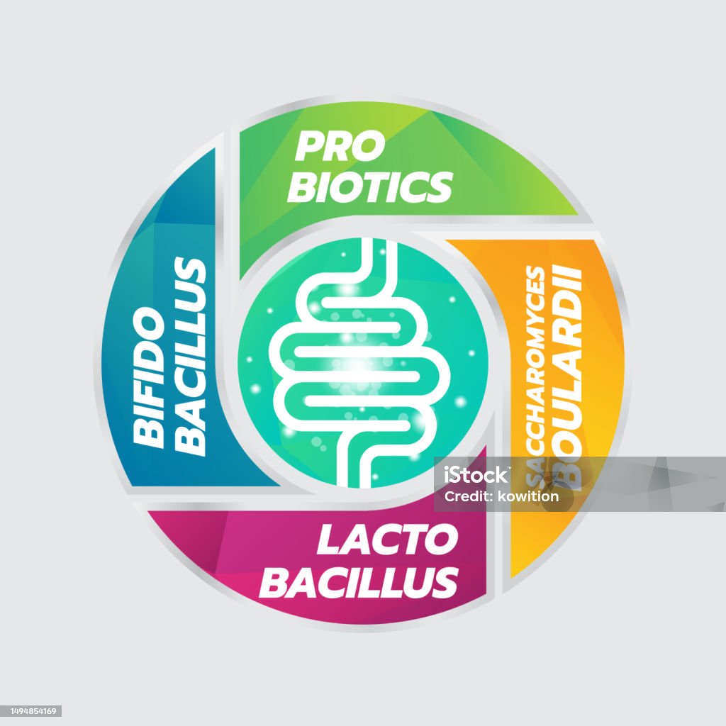 Probiotic Foods Good Bacteria Vector Illustration Stock Illustration